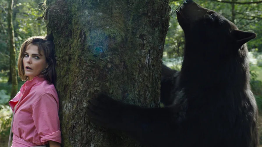 Contigo al Cine | Oso Intoxicado